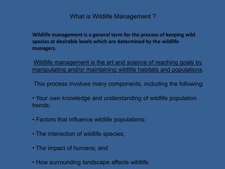 A BRIEF OVERVIEW ON WILDLIFE MANAGEMENT | PPTX
