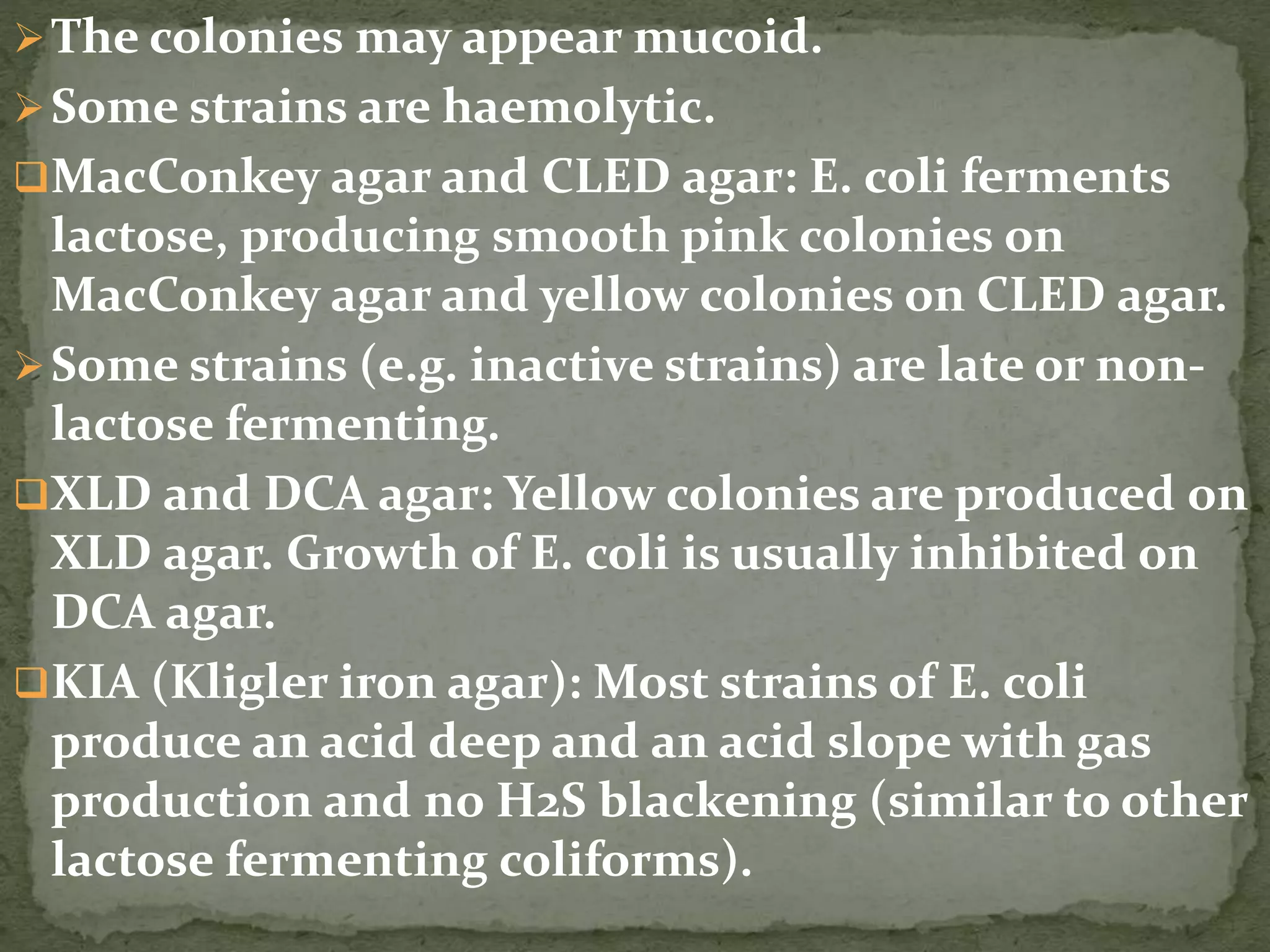 gram negative rods, entrobacteria | PPTX