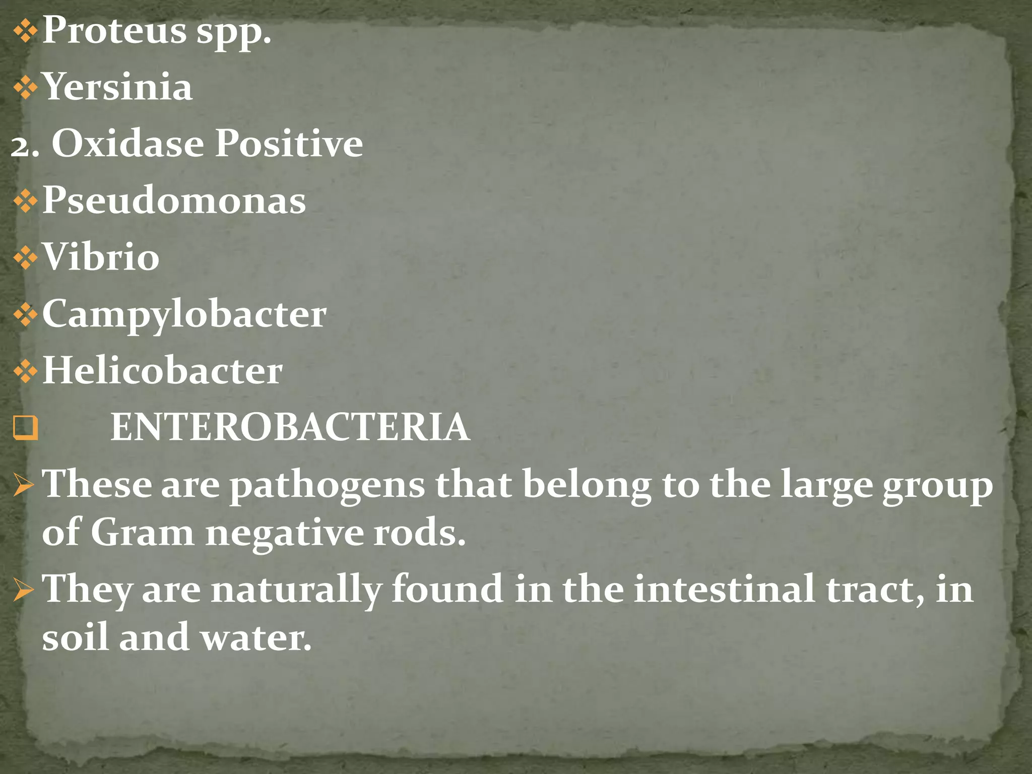 gram negative rods, entrobacteria | PPTX