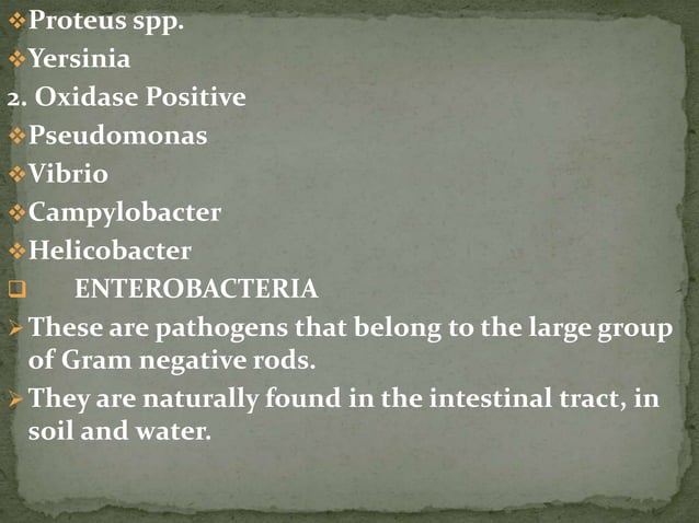 gram negative rods, entrobacteria | PPTX