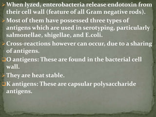 gram negative rods, entrobacteria | PPTX