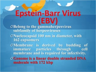 Epstein-Barr Virus | PPTX