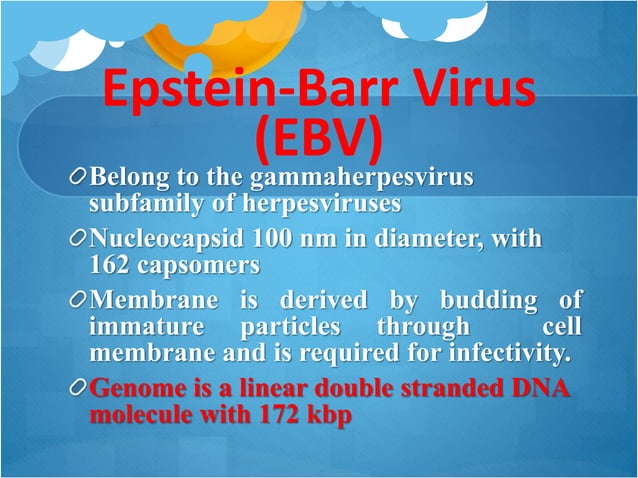 Epstein-Barr Virus | PPTX