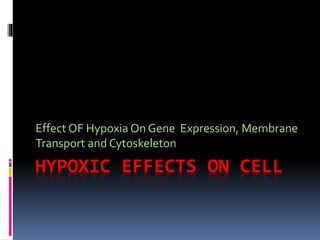 hypoxic effect on gene and dna | PPT
