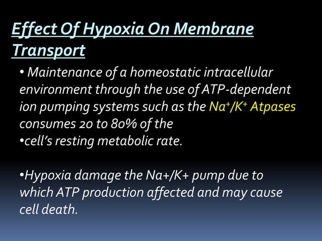 hypoxic effect on gene and dna | PPT