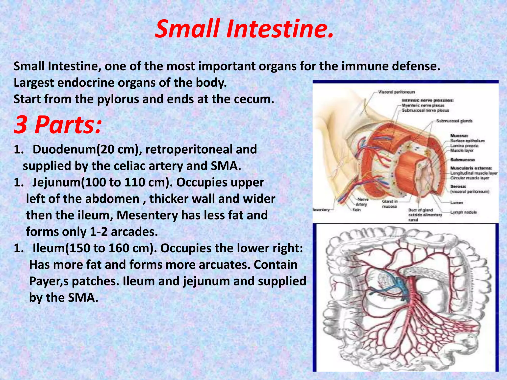 Presentation1.pptx, radiological imaging of small bowel disease. | PPTX