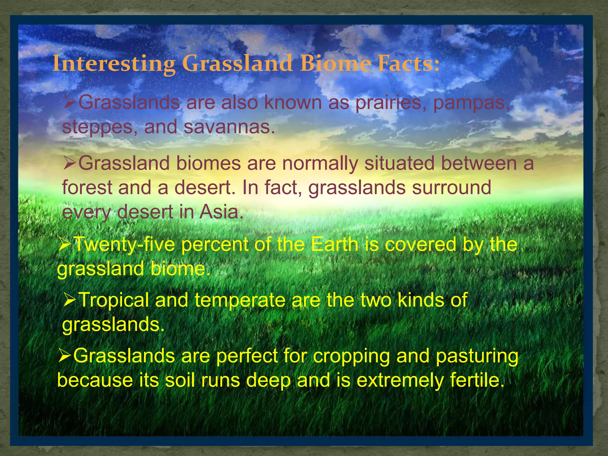 Grassland Biome | PPTX