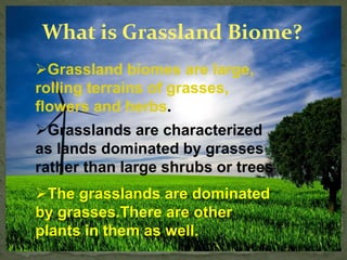 Grassland Biome | PPTX