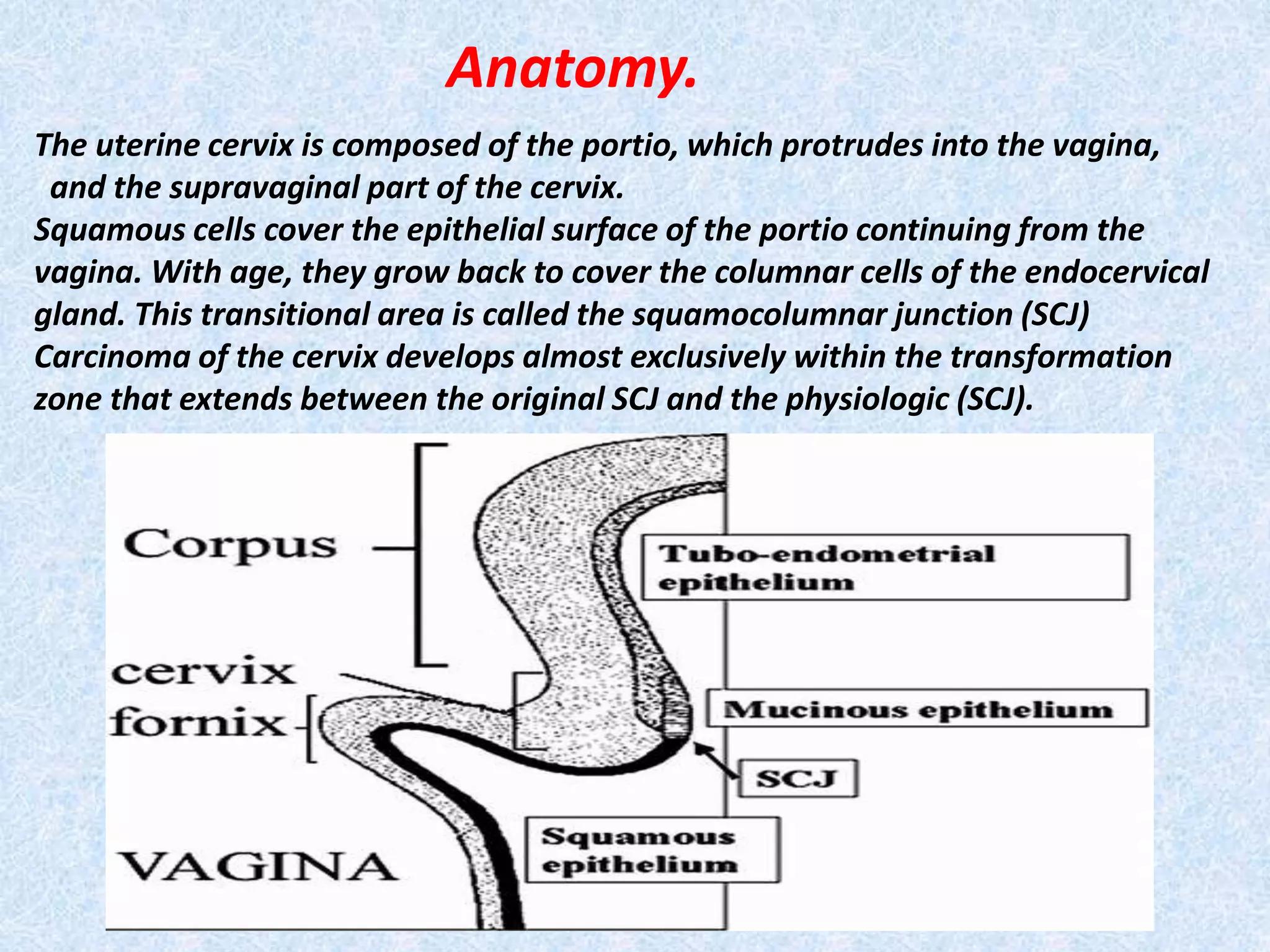 Presentation1.pptx, radiological imaging of uterine cervix diseases. | PPTX