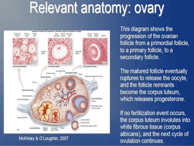 Presentation1.pptx, radilogical imaging of ovarian lesions.