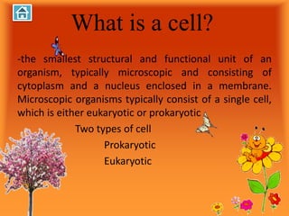 Cell-Basic Unit of Life | PPT