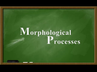 Morphological Processes | PPTX