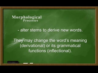 Morphological Processes | PPTX