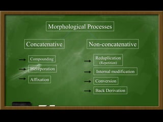 Morphological Processes | PPTX