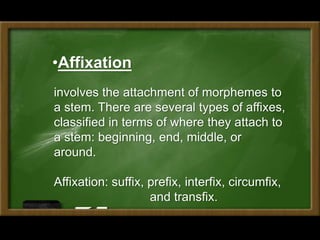 Morphological Processes | PPTX