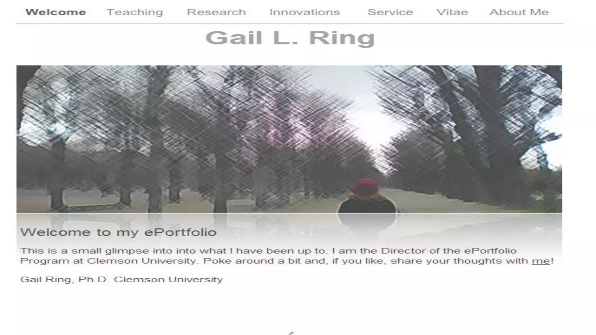 E-portfolio Examples of Different Purposes | PDF