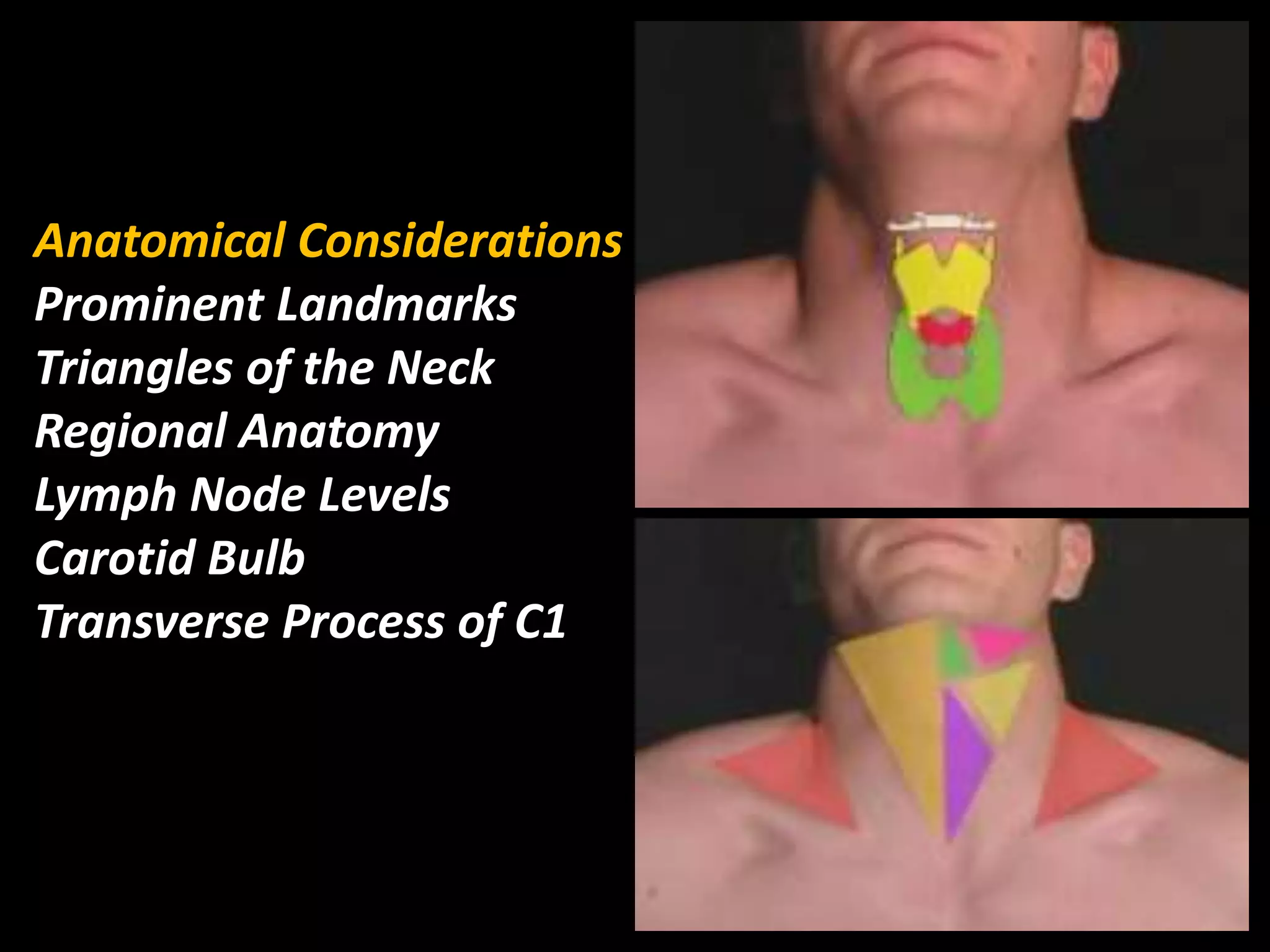 Presentation1.pptx, radiological imaging of adult neck masses. | PPTX