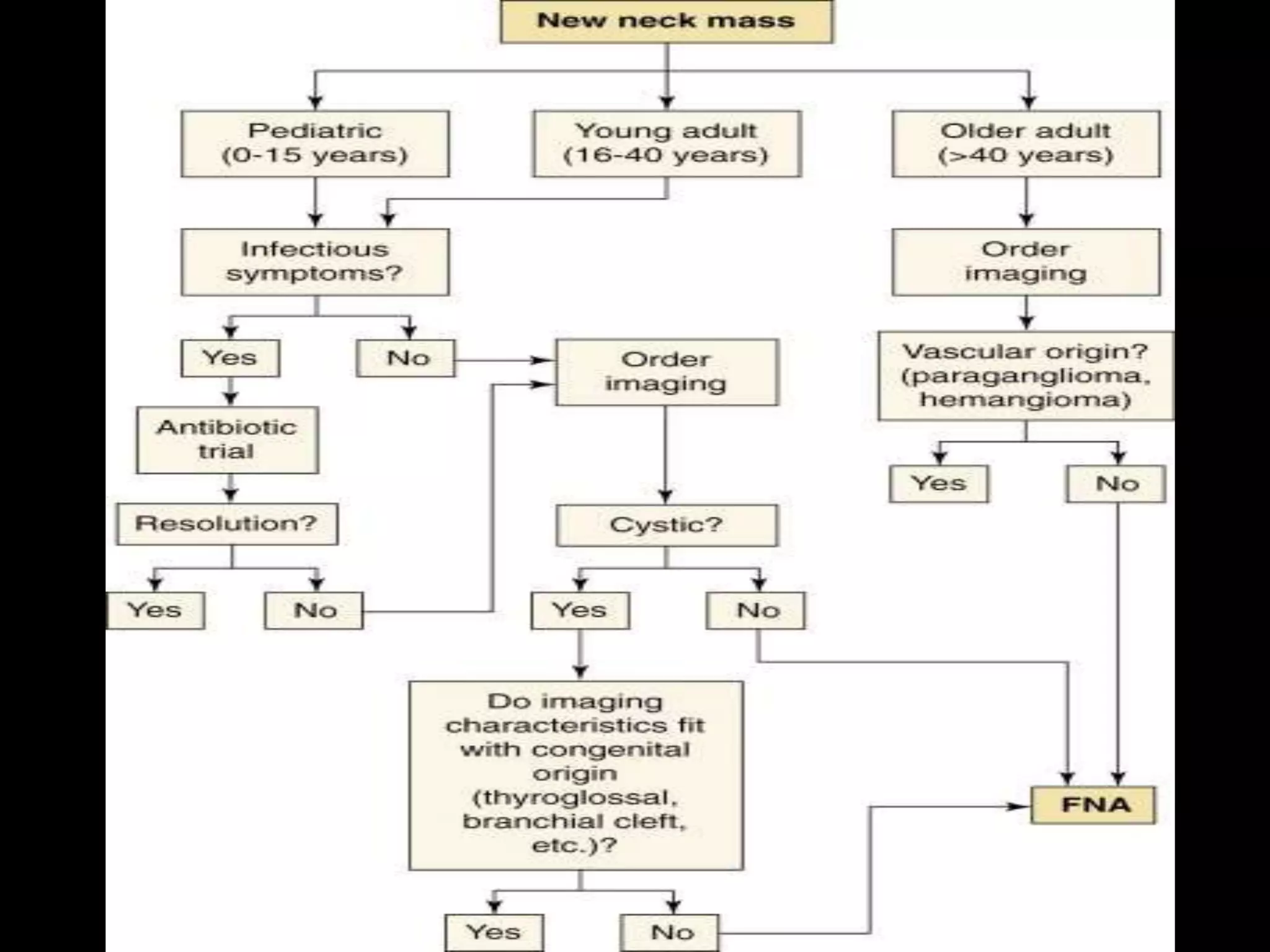 Presentation1.pptx, radiological imaging of adult neck masses. | PPTX