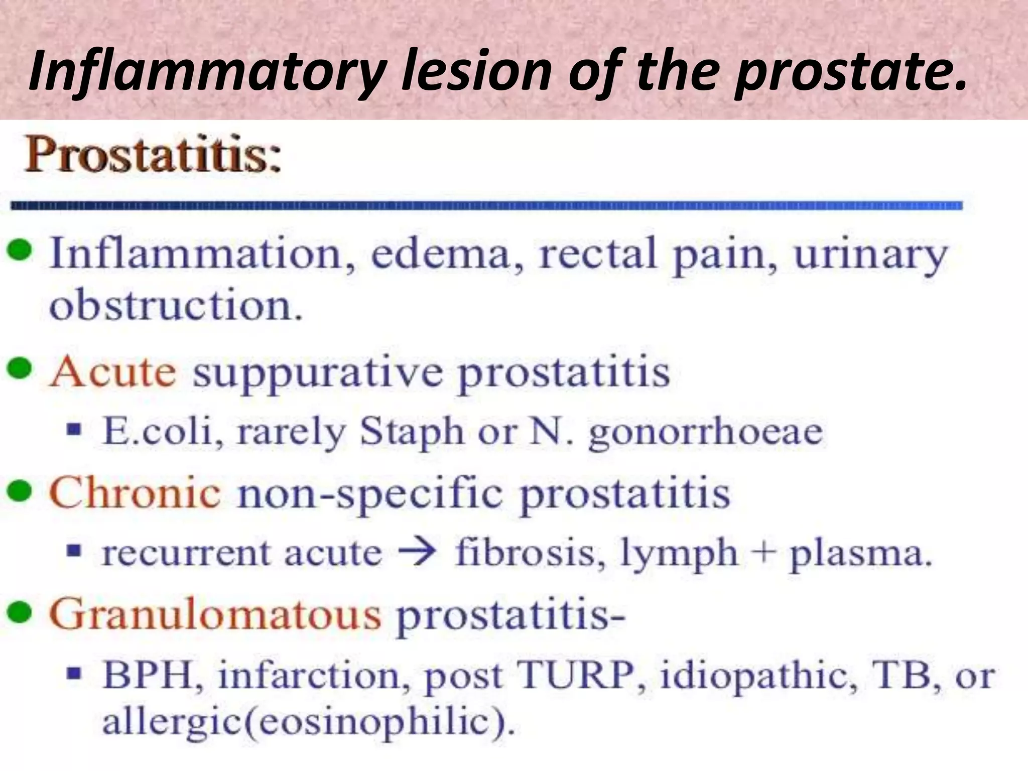 Presentation1.pptx, radiological imaging of prostatic diseases | PPTX