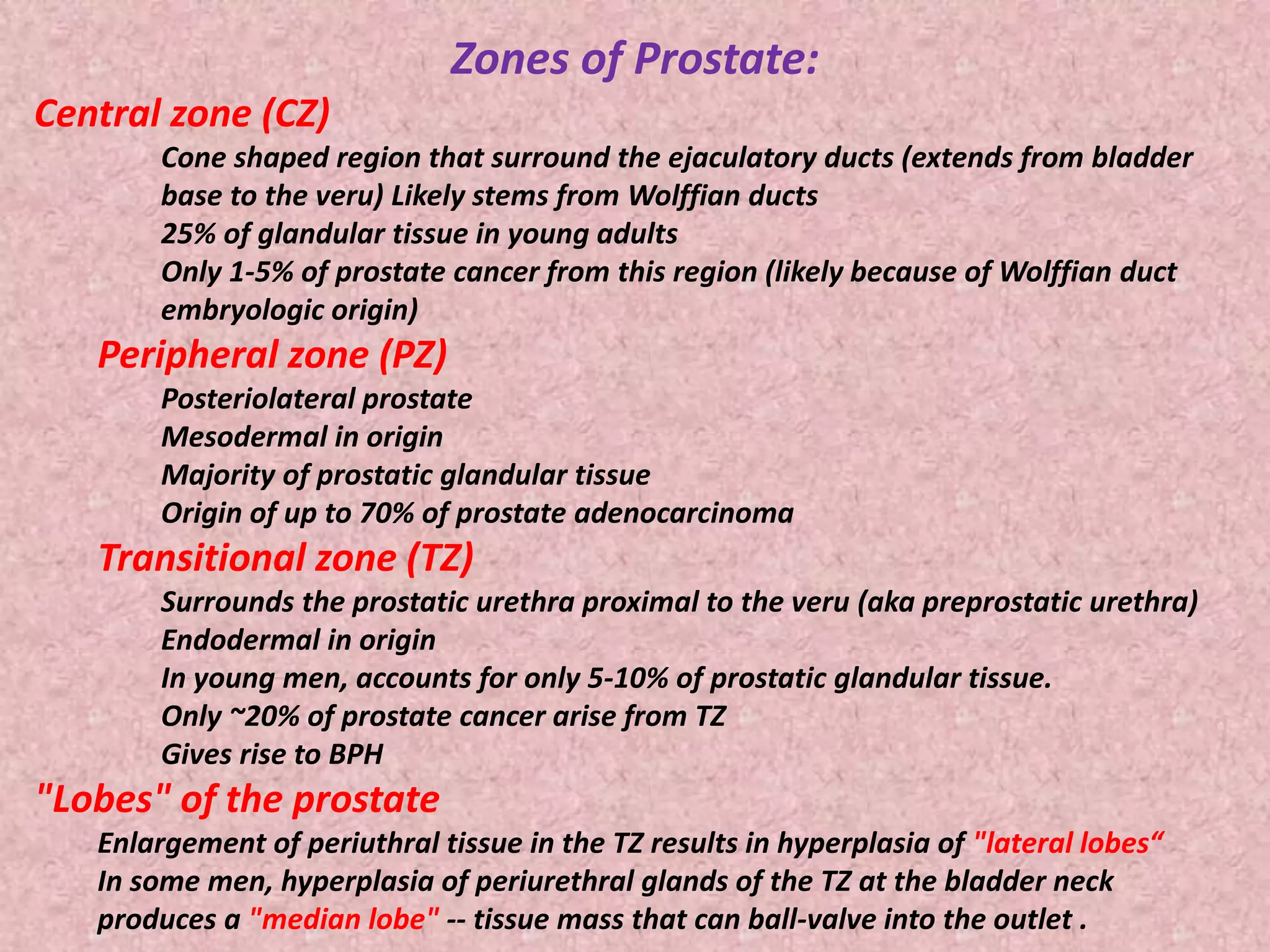 Presentation1.pptx, radiological imaging of prostatic diseases | PPTX