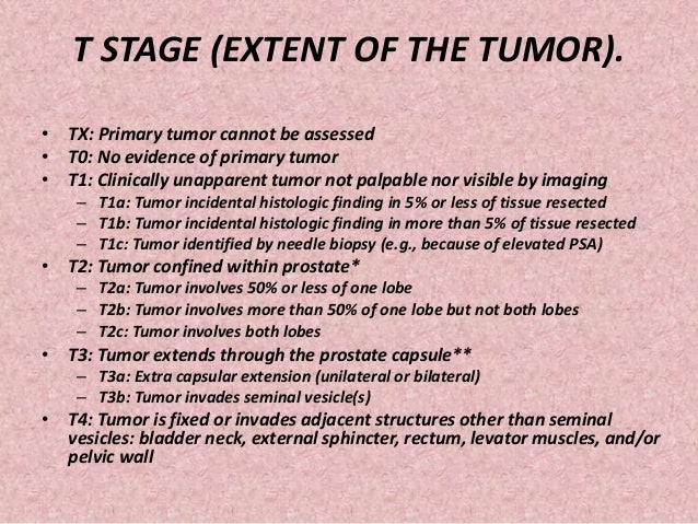 Presentation1.pptx, radiological imaging of prostatic diseases