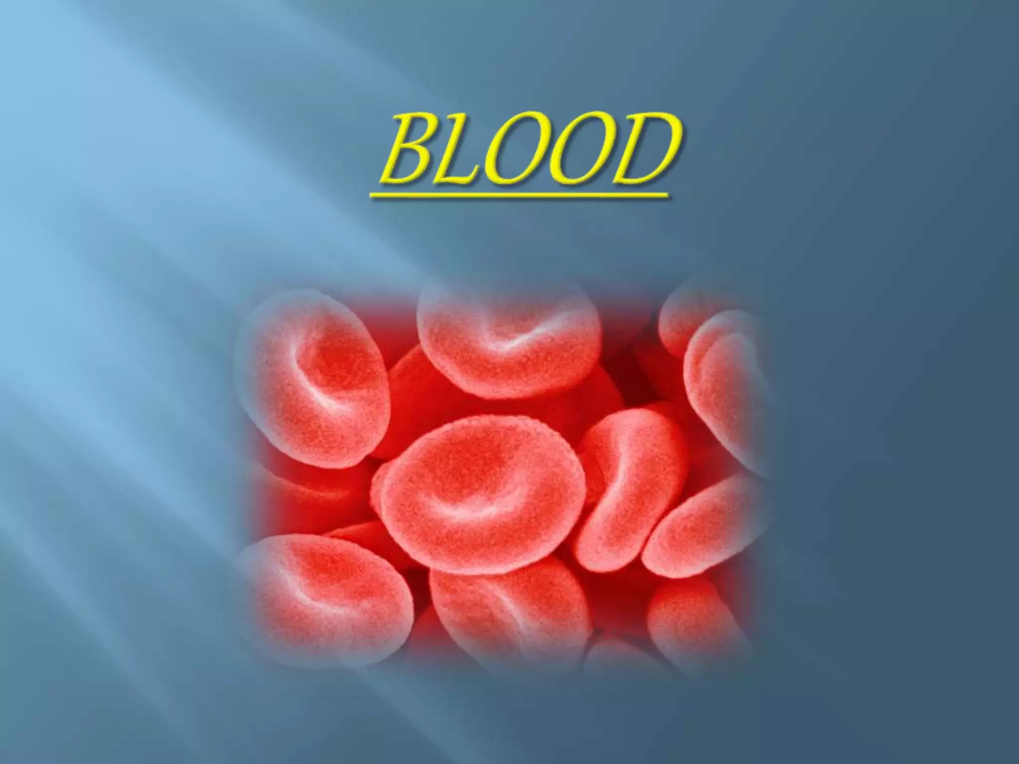 BLOOD | PPT