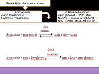 Presentation1 Biokimia pangan Asam Amino | PPTX