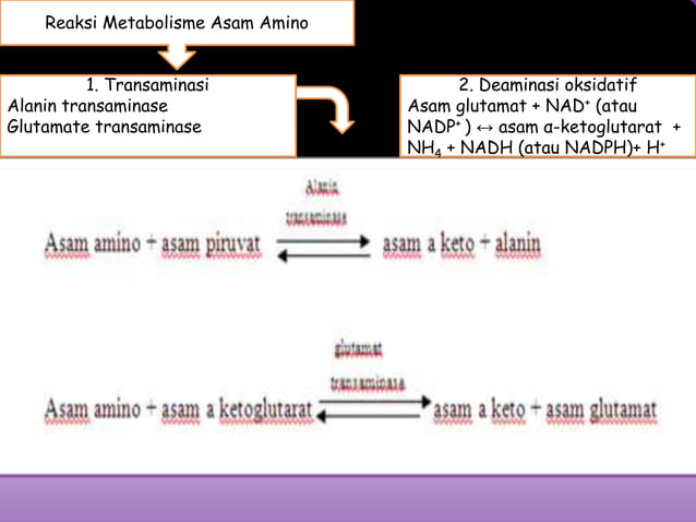 Presentation1 Biokimia pangan Asam Amino | PPT