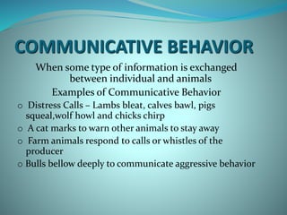 animal behavior | PPTX