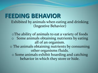 animal behavior | PPTX