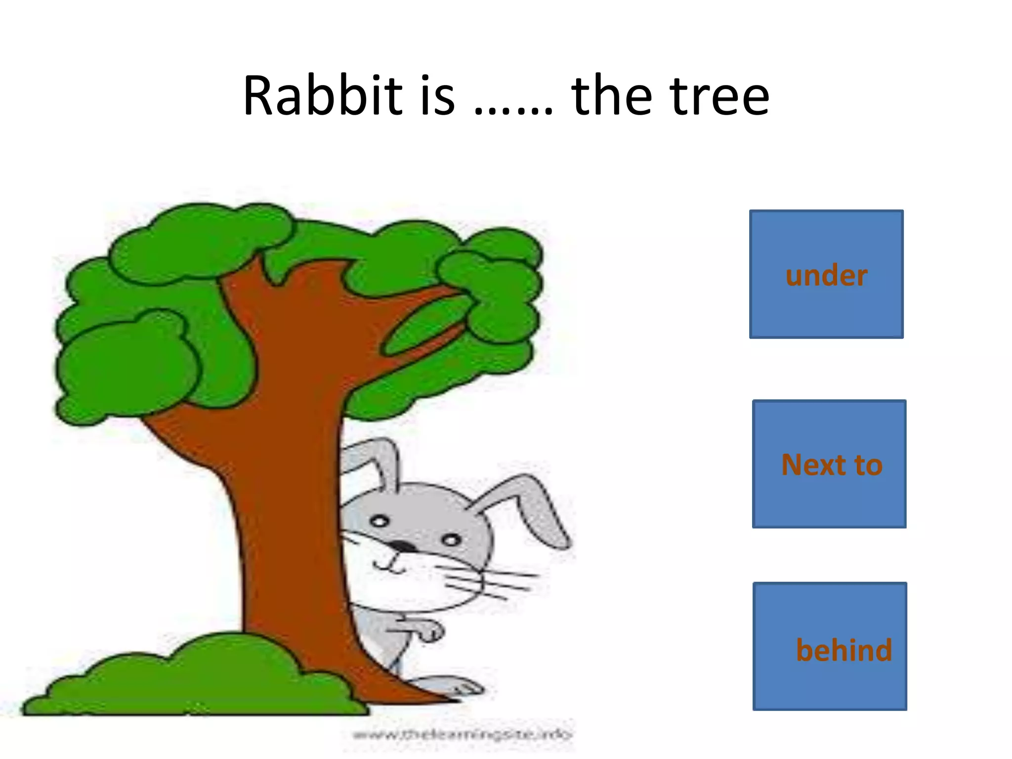 Preposition | PPT