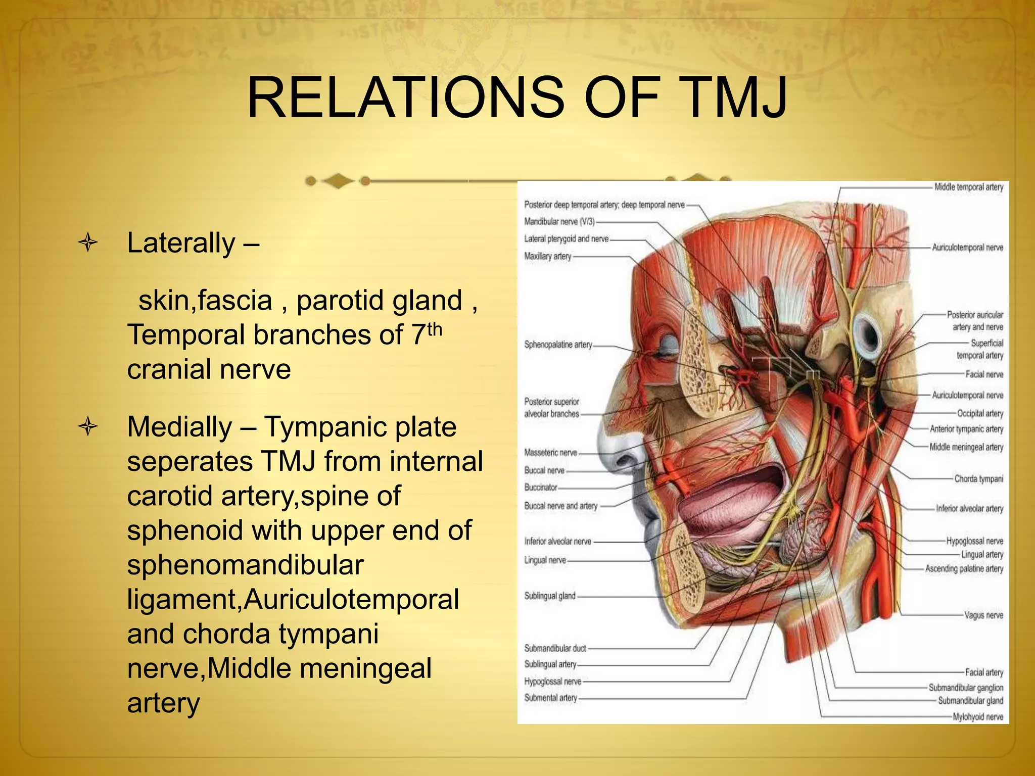 TMJ and its relation to periodontics | PPTX