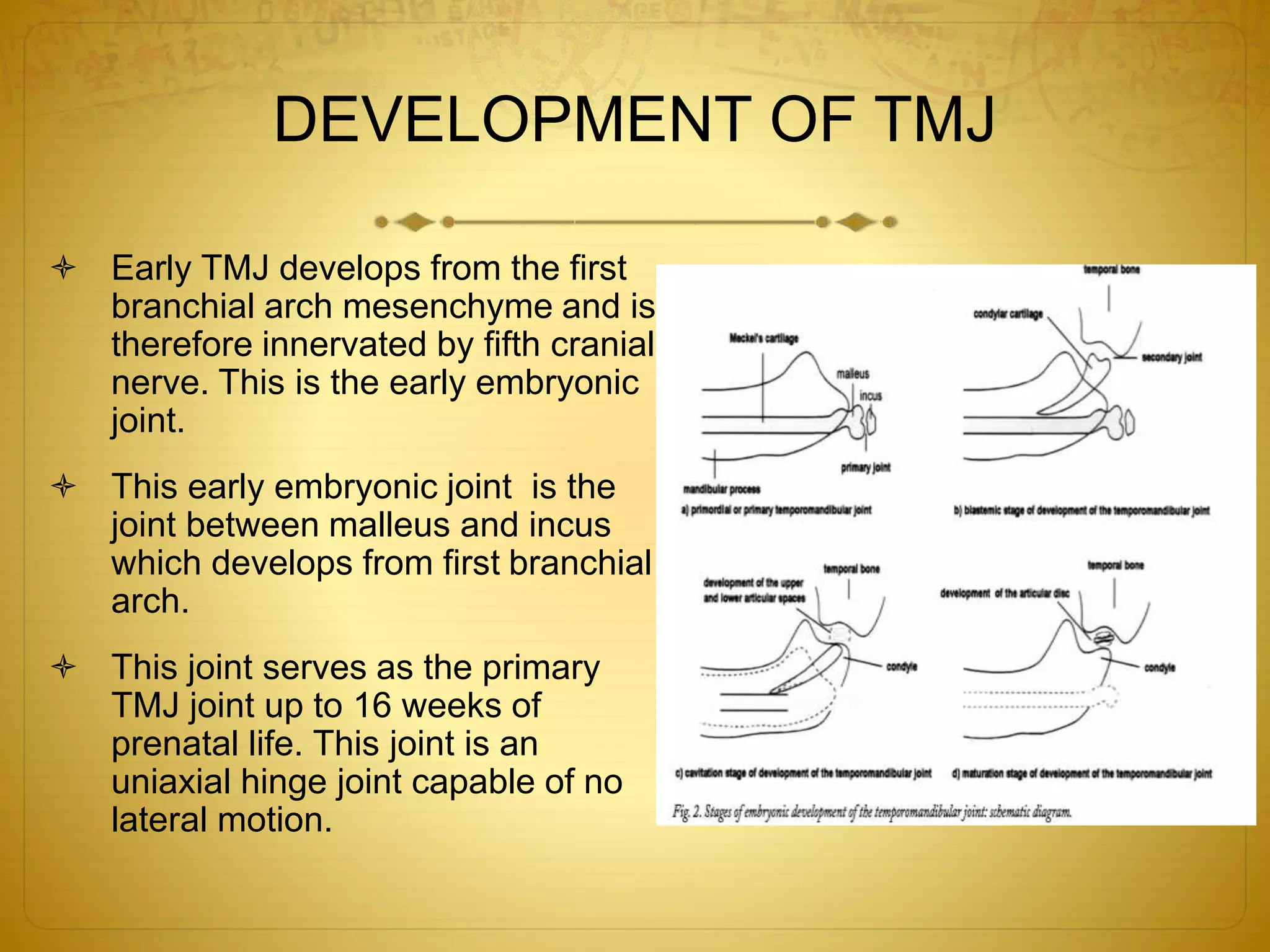 TMJ and its relation to periodontics | PPTX