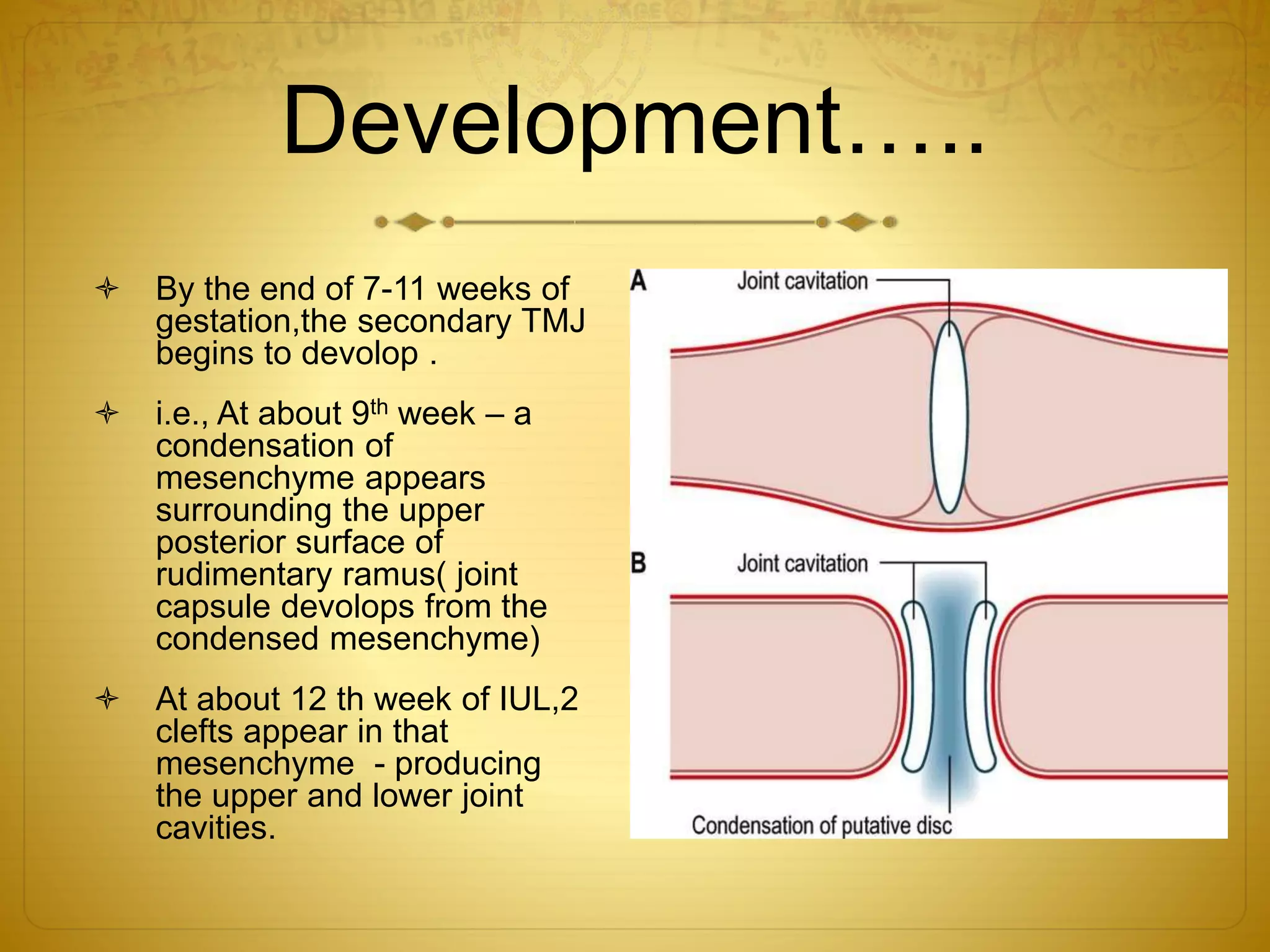 TMJ and its relation to periodontics | PPTX