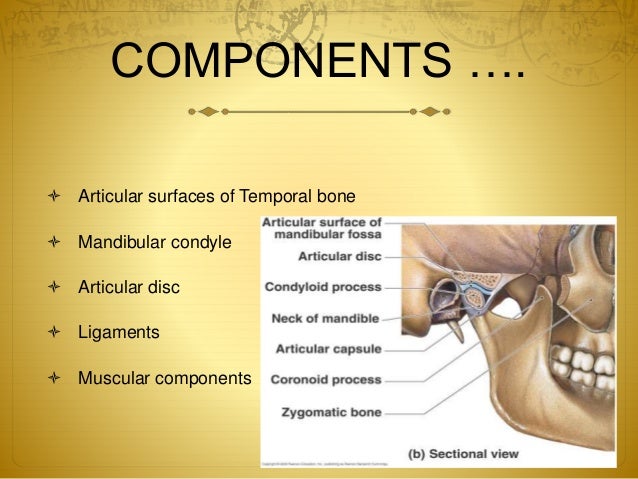 TMJ and its relation to periodontics