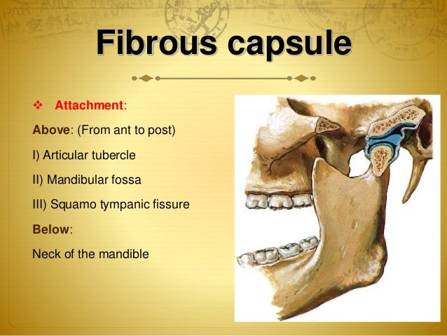 TMJ and its relation to periodontics