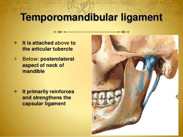 TMJ and its relation to periodontics