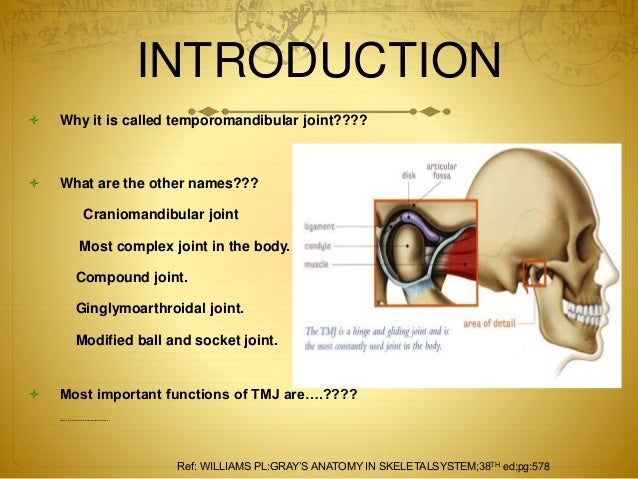 TMJ and its relation to periodontics