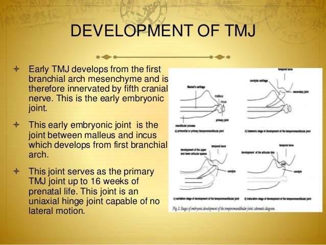 TMJ and its relation to periodontics