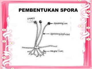 Presentation1 | PPTX