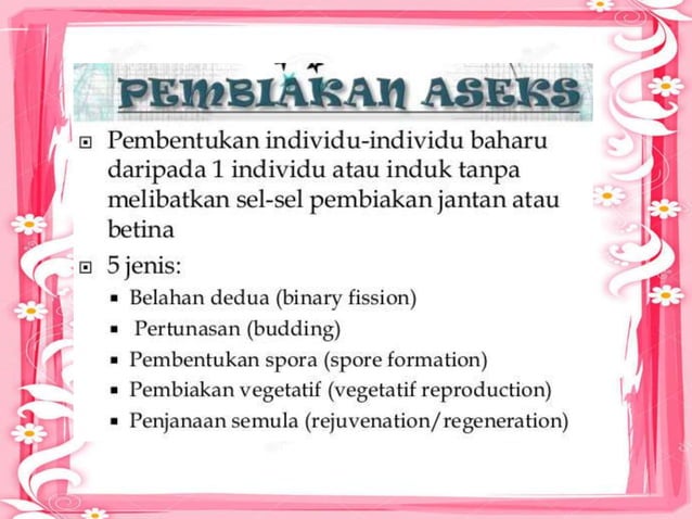 Presentation1 | PPTX