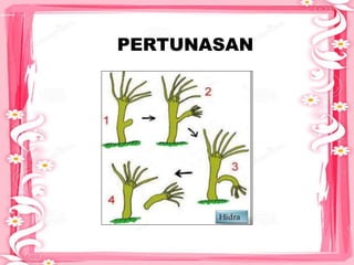 Presentation1 | PPTX