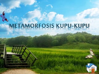 Metamorfosis Kupu-kupu | PPTX