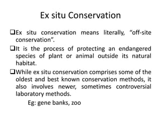 biodiversity | PPTX
