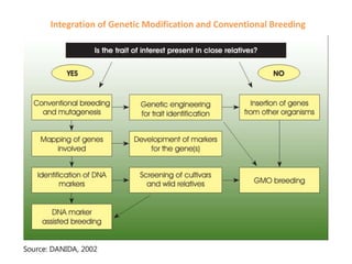 BIOFORTIFICATION OF STAPLE CROPS: PROVITAMIN A CASSAVA AS A CASE STUDY ...