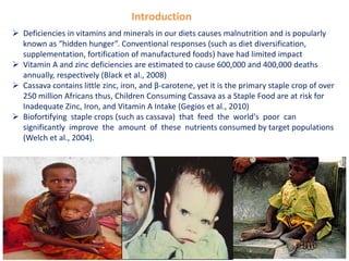BIOFORTIFICATION OF STAPLE CROPS: PROVITAMIN A CASSAVA AS A CASE STUDY ...