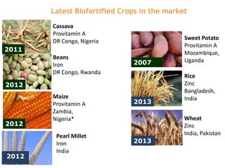 BIOFORTIFICATION OF STAPLE CROPS: PROVITAMIN A CASSAVA AS A CASE STUDY ...