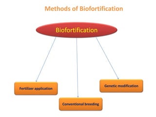 BIOFORTIFICATION OF STAPLE CROPS: PROVITAMIN A CASSAVA AS A CASE STUDY ...