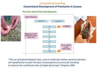 BIOFORTIFICATION OF STAPLE CROPS: PROVITAMIN A CASSAVA AS A CASE STUDY ...