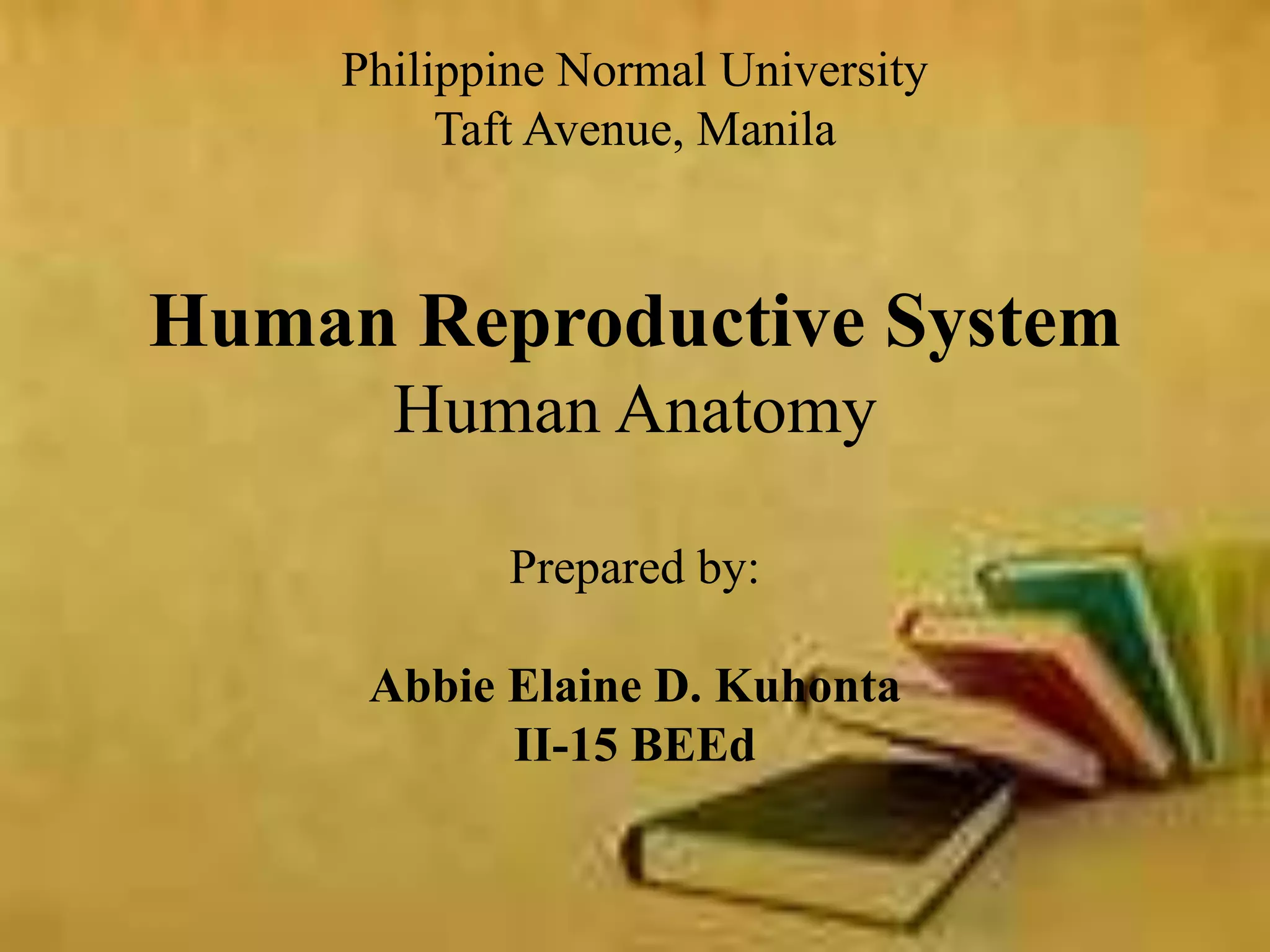 Human Reproductive System Ppt Free Download
